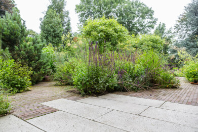 Natuurlijke tuin in Twello