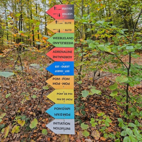 Klimpark in de Ardennen met kinderen