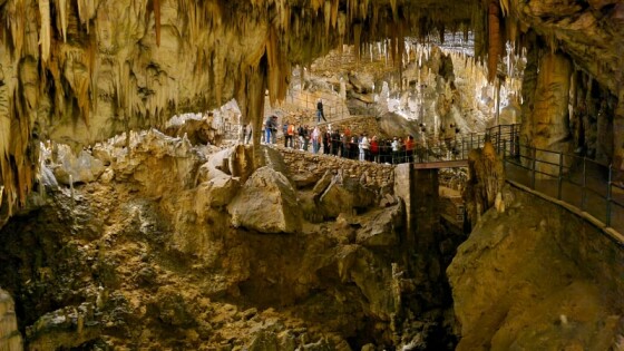 Grotten van Postojna met kinderen bezoeken