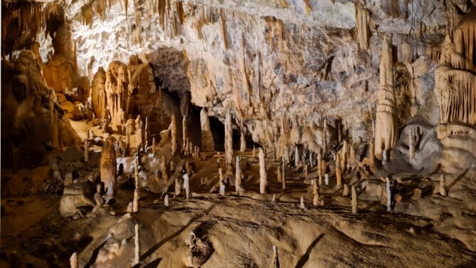 Grotten van Postojna met kinderen bezoeken