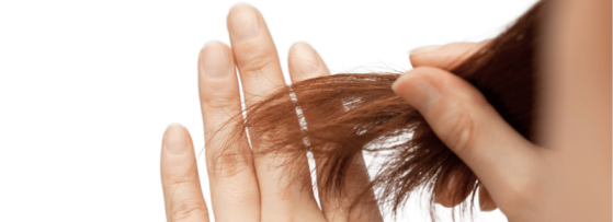 Beste product voor beschadigd haar | Top 6 | 2026