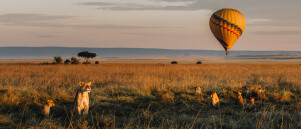 Best Places to Stay in Kenya for Safari (Lodges & Camps Guide)