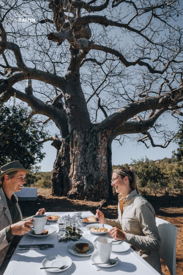 What is a bush breakfast on safari?