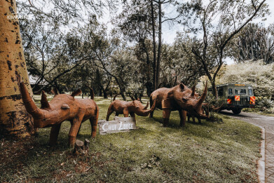 Best Place to Stay at Lake Naivasha on Safari in Kenya: Chui Lodge