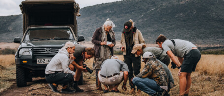 Field Guide Courses and Wildlife Training Programs