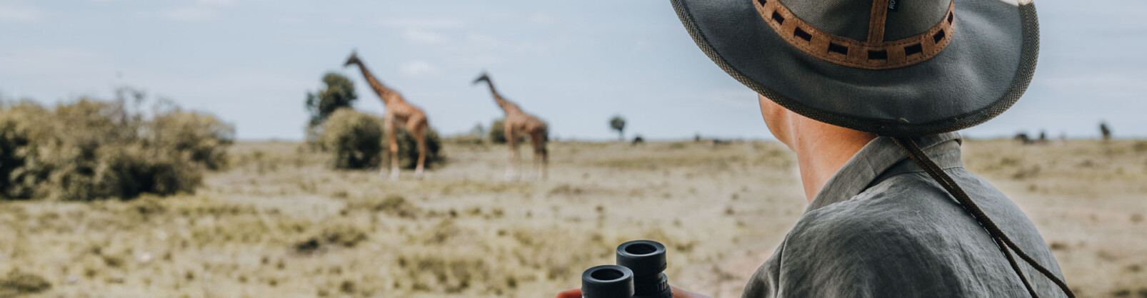 Field Guide Courses and Wildlife Training Programs