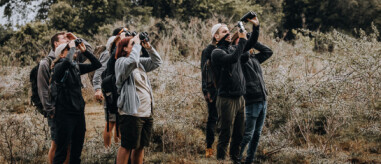 Field Guide Courses and Wildlife Training Programs