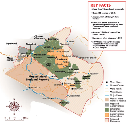 Masai Mara Safari in Kenya (2025 Guide + Updated Park Fees)