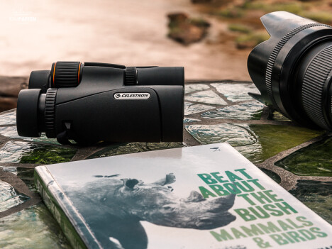 What is a Field Guide and how to become it?