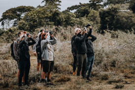 What is a Field Guide and how to become it?