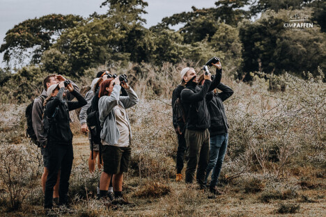 What is a Field Guide and how to become it?