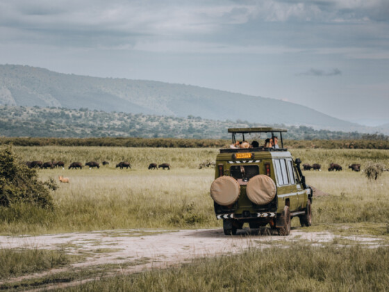 Rwanda Travel Guide (2023) • Safari in the Land of 1000 Hills