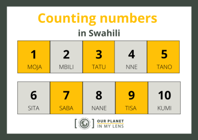 Learn the Swahili Language (for beginners) | Safari in East Africa