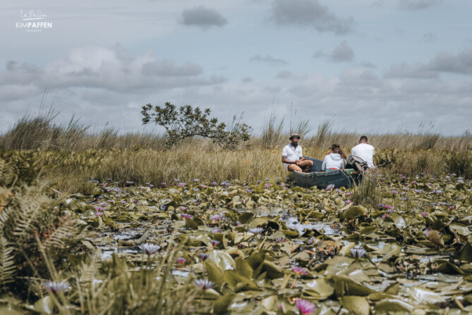 Shoebill Watching in Mabamba Swamp Uganda: Best Place to See the ...