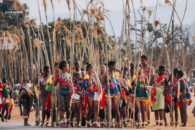 8-day Umhlanga Reed Dance: a day-to-day overview of Eswatinis largest ...