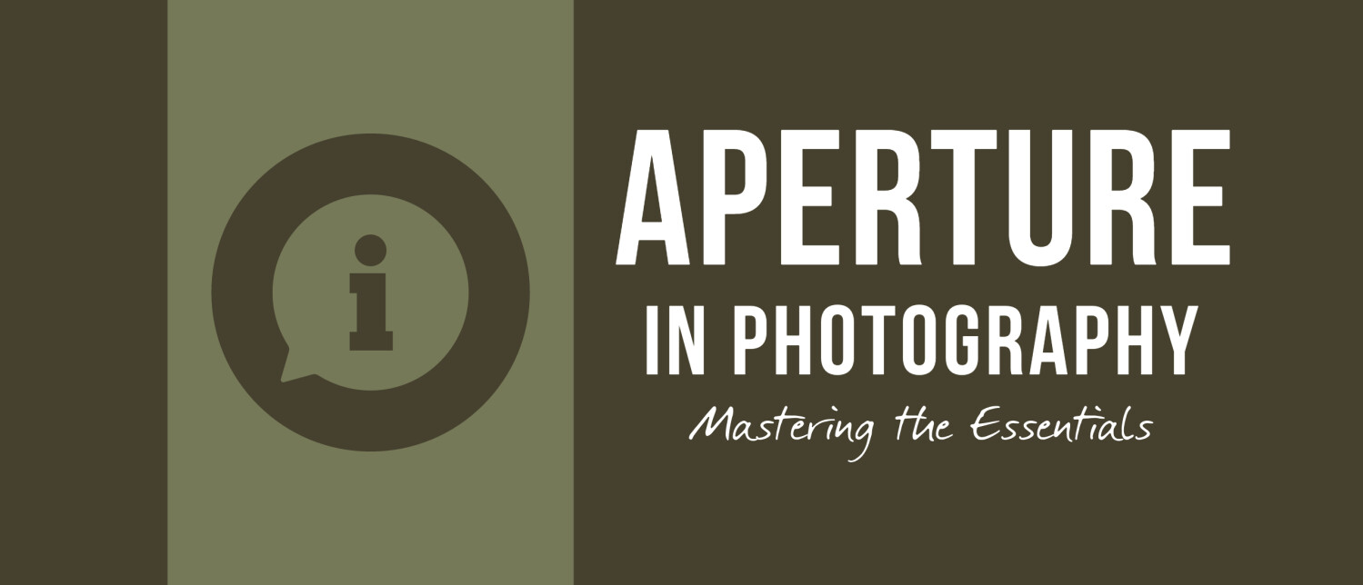 Understanding Aperture in Photography: Definition and how to use it