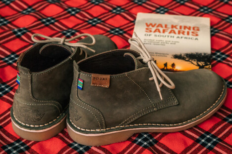 What to Wear on Safari in Africa? 8 Tips for the Best Safari Outfit