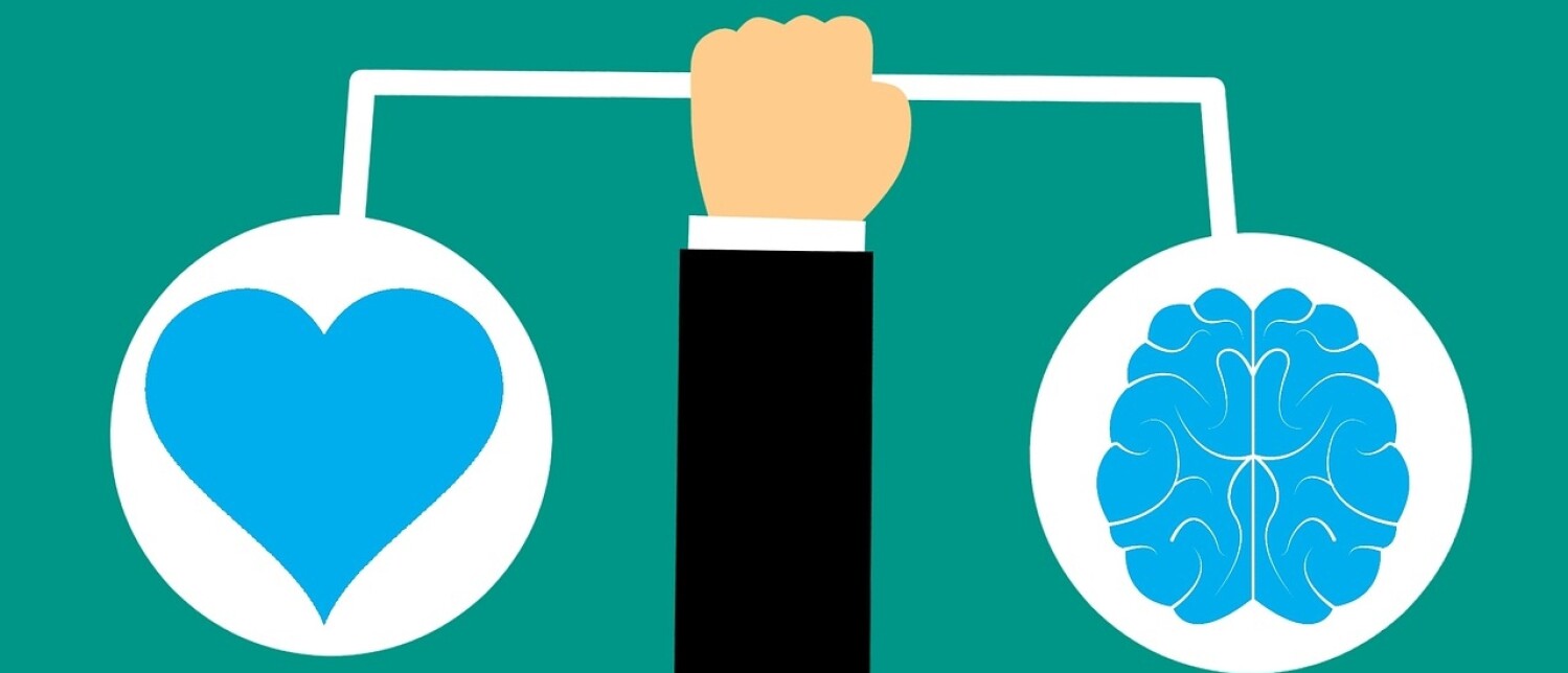 Wat is inlevingsvermogen?