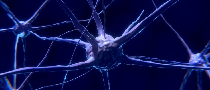 Wat is neurose en een neurotische persoonlijkheid?