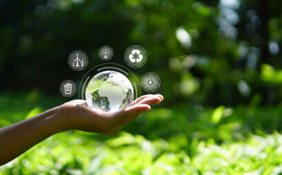 Plant Wholesale UK - Green Inspiration Plants Ltd. - Micquel Groen