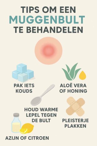 Muggenbult tips die werken! Verminder jeuk en voorkom krabben🦟
