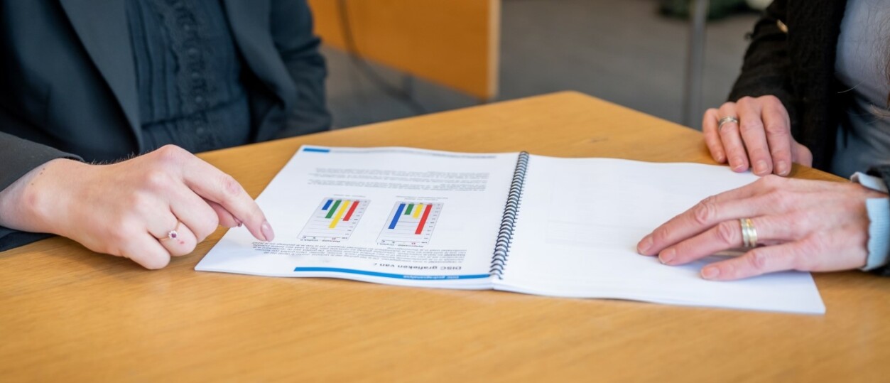 Meer over de DISC kleuren en temperament