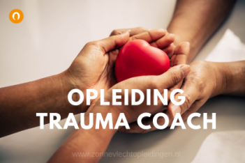 Lichaamsgerichte Trauma Coach Opleiding | Trauma-sensitief Werken