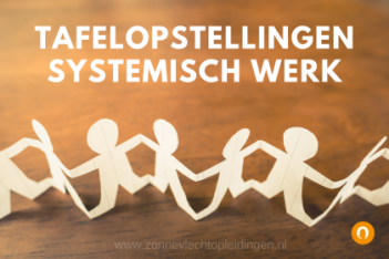 Cursus Tafelopstellingen Systemisch Werken bij Zonnevlecht Opleidingen