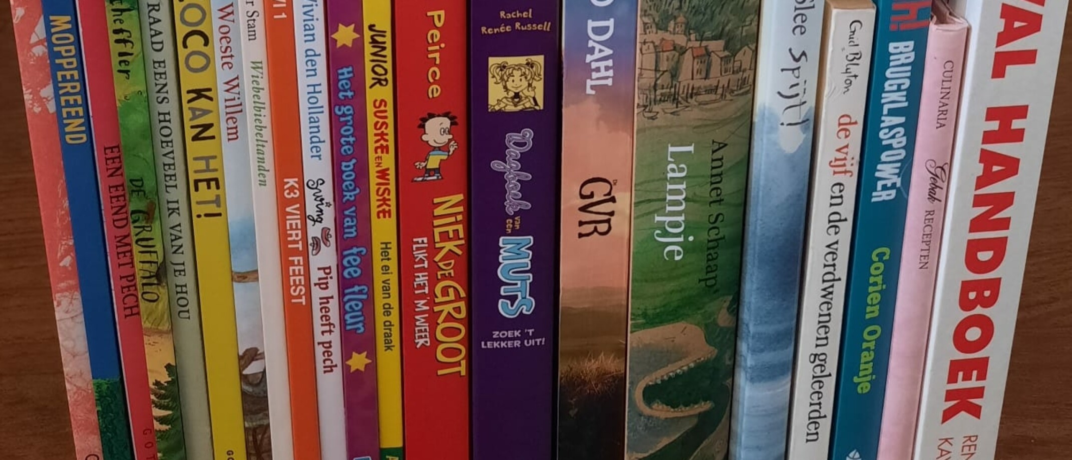 Grip op het leer- en leesproces van leerlingen.