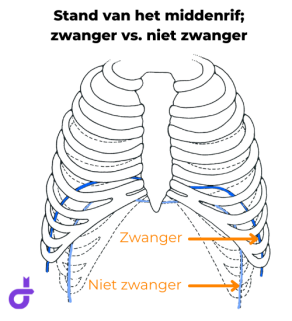 Ademhaling en buikdruk