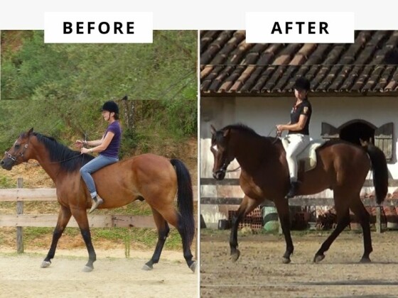 Straightness Training | Valuable Tips About Horses & Horse Riding