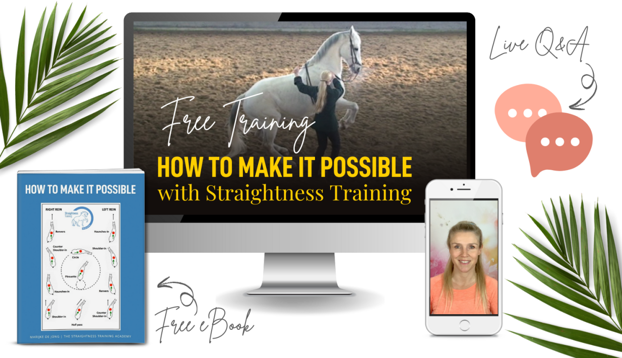 Longeing a horse | Tips & Information | Straightness Training