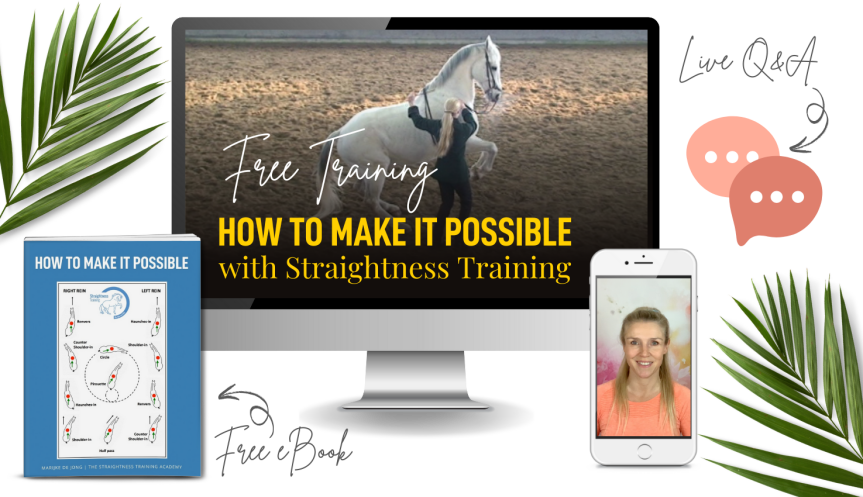 Longeing a horse | Tips & Information | Straightness Training
