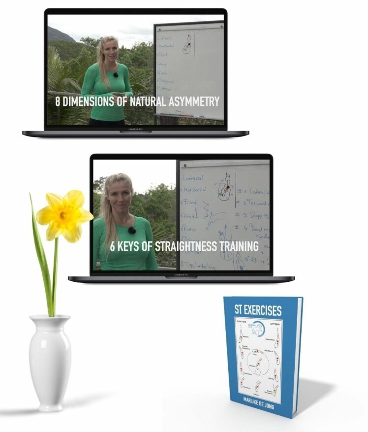 Straightness Training | Valuable Tips About Horses & Horse Riding