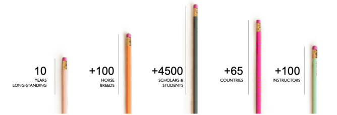 Straightness Training | Valuable Tips About Horses & Horse Riding