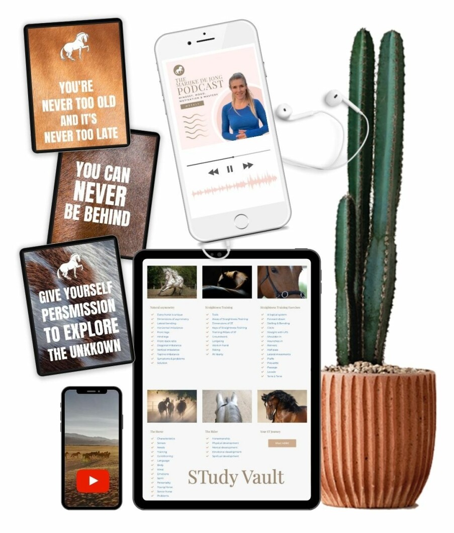 Straightness Training | Valuable Tips About Horses & Horse Riding