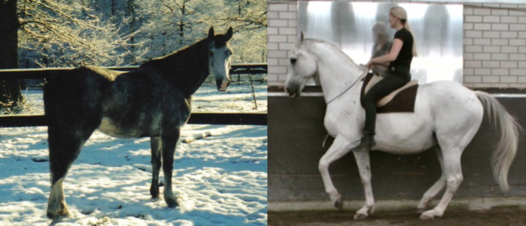 Overview ST Exercises