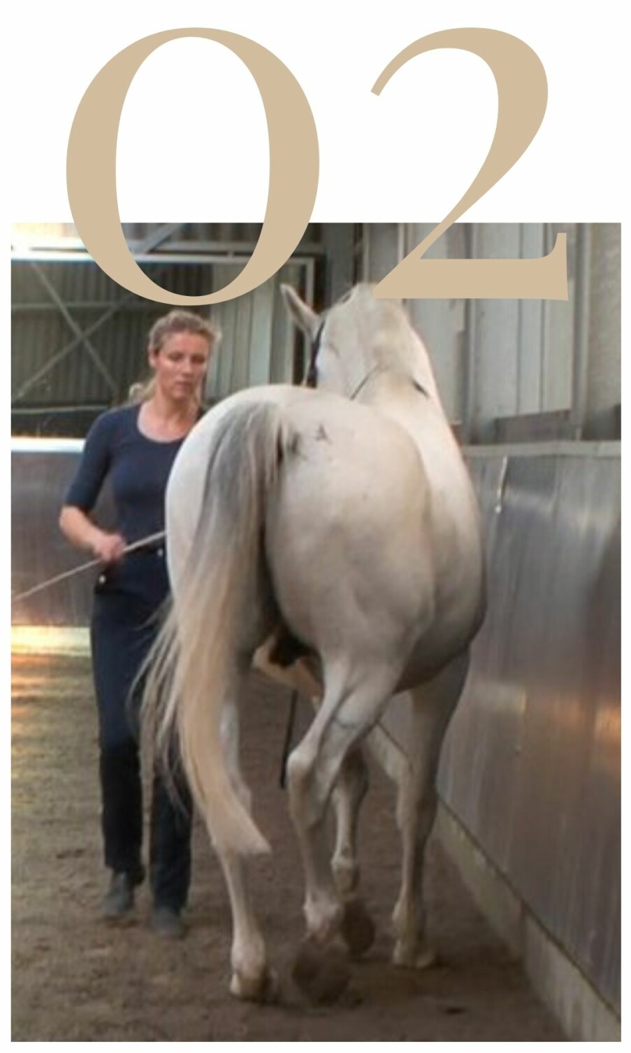 Straightness Training | Valuable Tips About Horses & Horse Riding