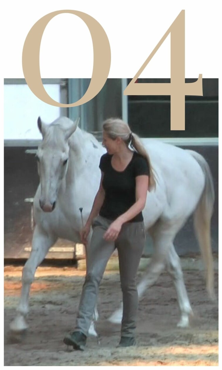 Straightness Training | Valuable Tips About Horses & Horse Riding