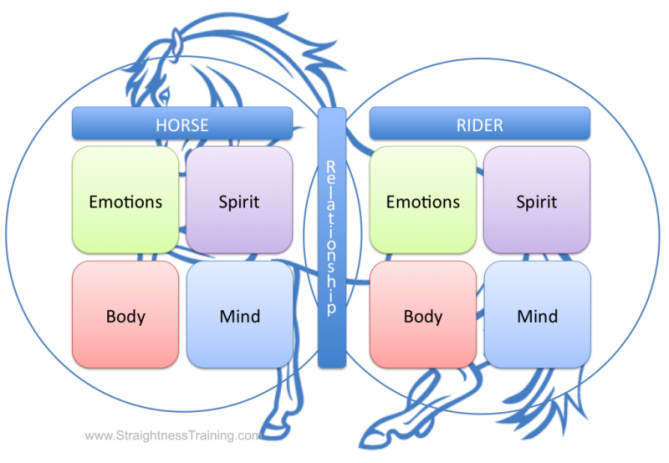 Areas of Straightness Training | Straightness Training