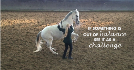 Areas of Straightness Training | Straightness Training