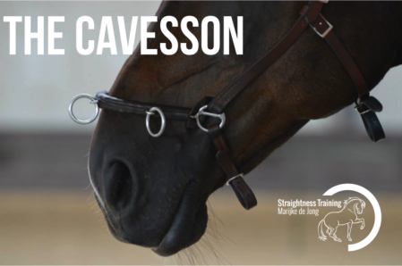 Cavesson | Straightness Training