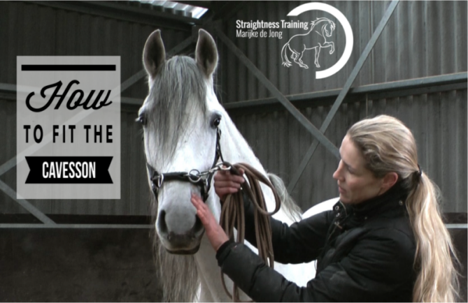 Cavesson | Straightness Training