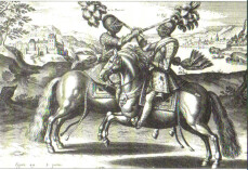 Terre à Terre - Straightness Training