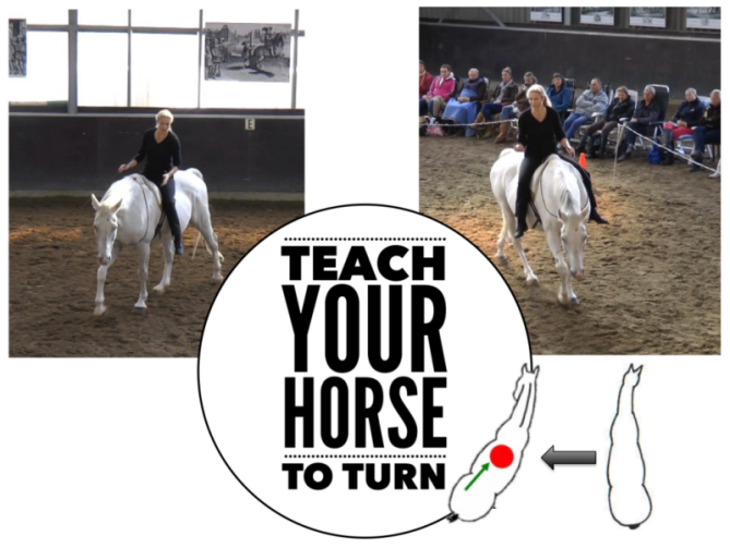 Why the Circle Is the Hardest Exercise for Your Horse