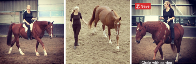 Why the Circle Is the Hardest Exercise for Your Horse