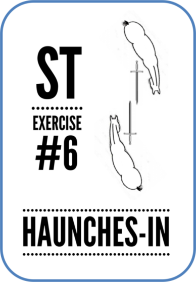 Haunches-in | Straightness Training