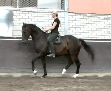 Passage | Straightness Training