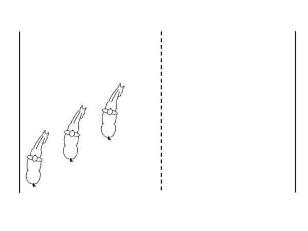 Half pass | Straightness Training