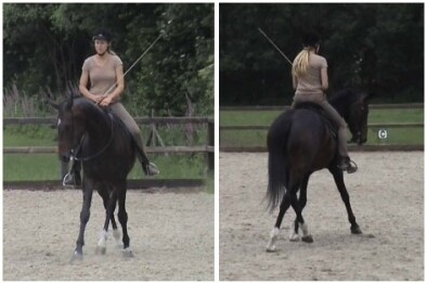 Half pass | Straightness Training